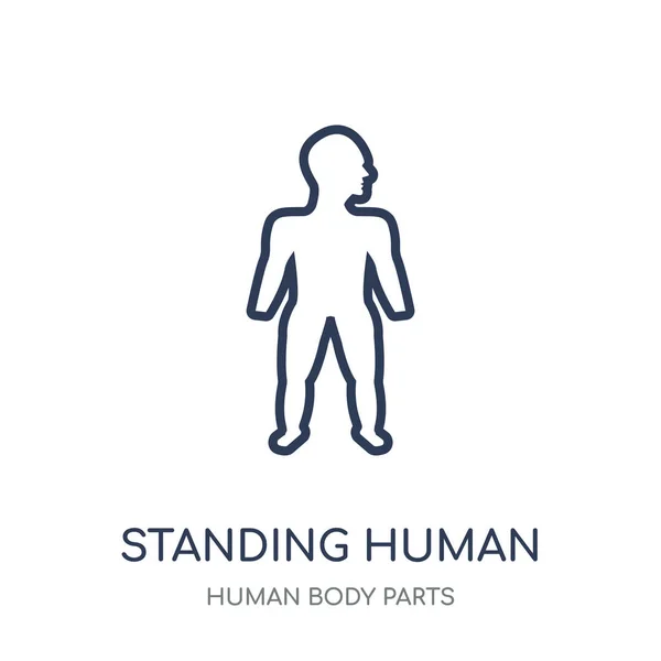 Human Body Standing Black Icon Human Body Standing Black Linear Stock ...