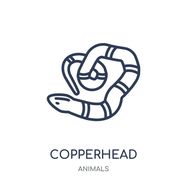 Copperhead Vector Art Stock Images | Depositphotos
