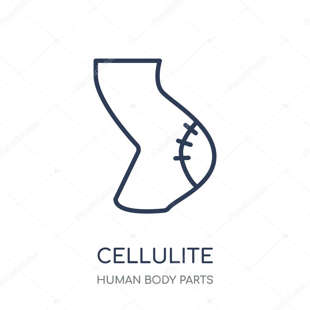 Icono de celulitis. Diseño de símbolo lineal de celulitis de la ...