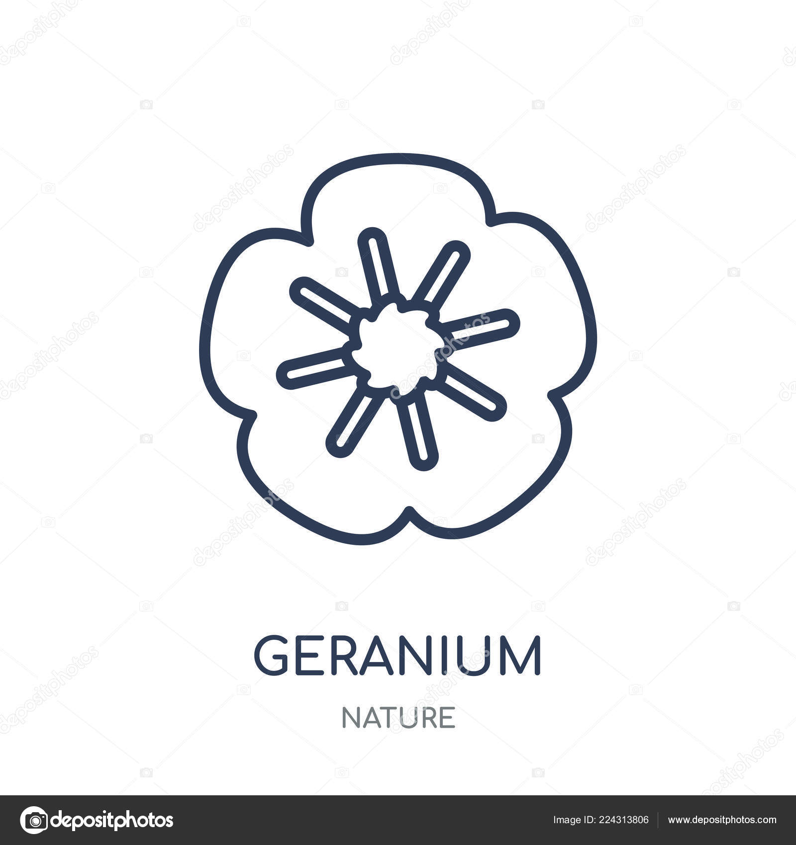 Geranium Icon Geranium Linear Symbol Design Nature Collection Simple ...