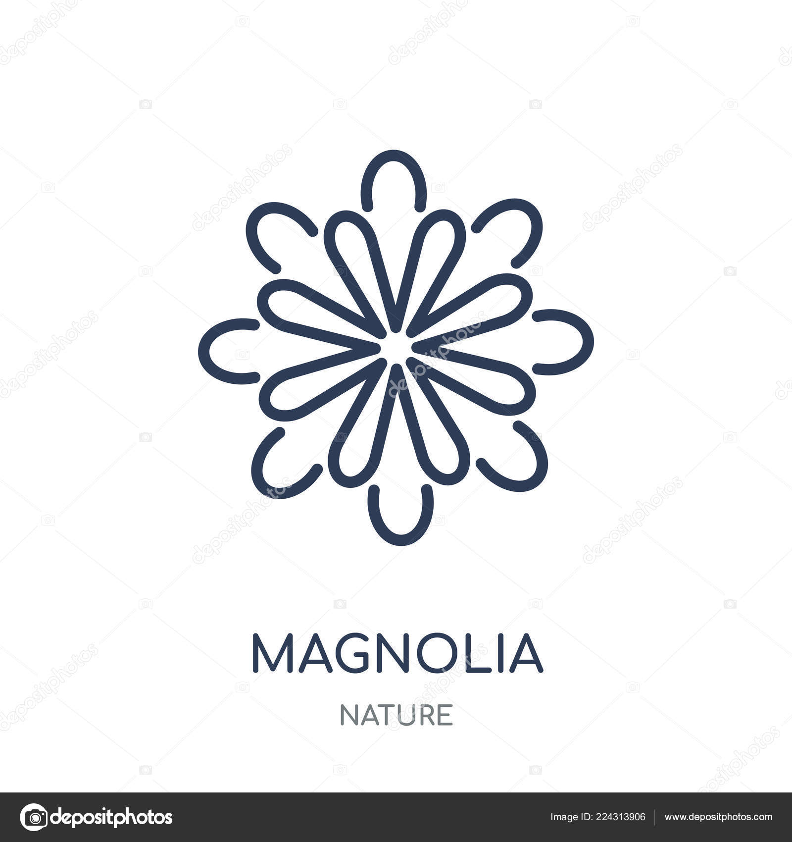 Magnolia Icon Magnolia Linear Symbol Design Nature Collection Simple ...