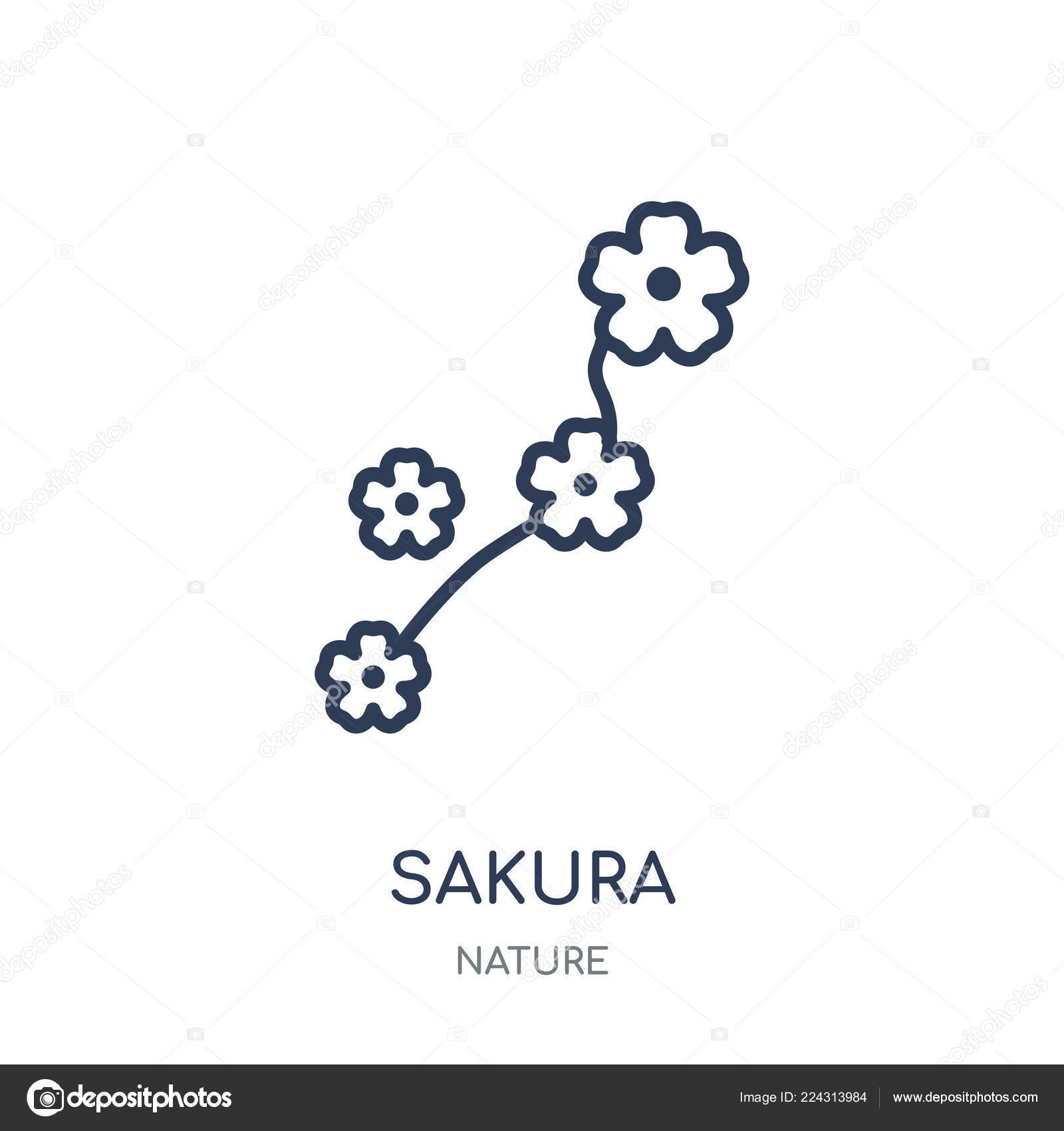 Sakura Icon Sakura Linear Symbol Design Nature Collection Simple ...