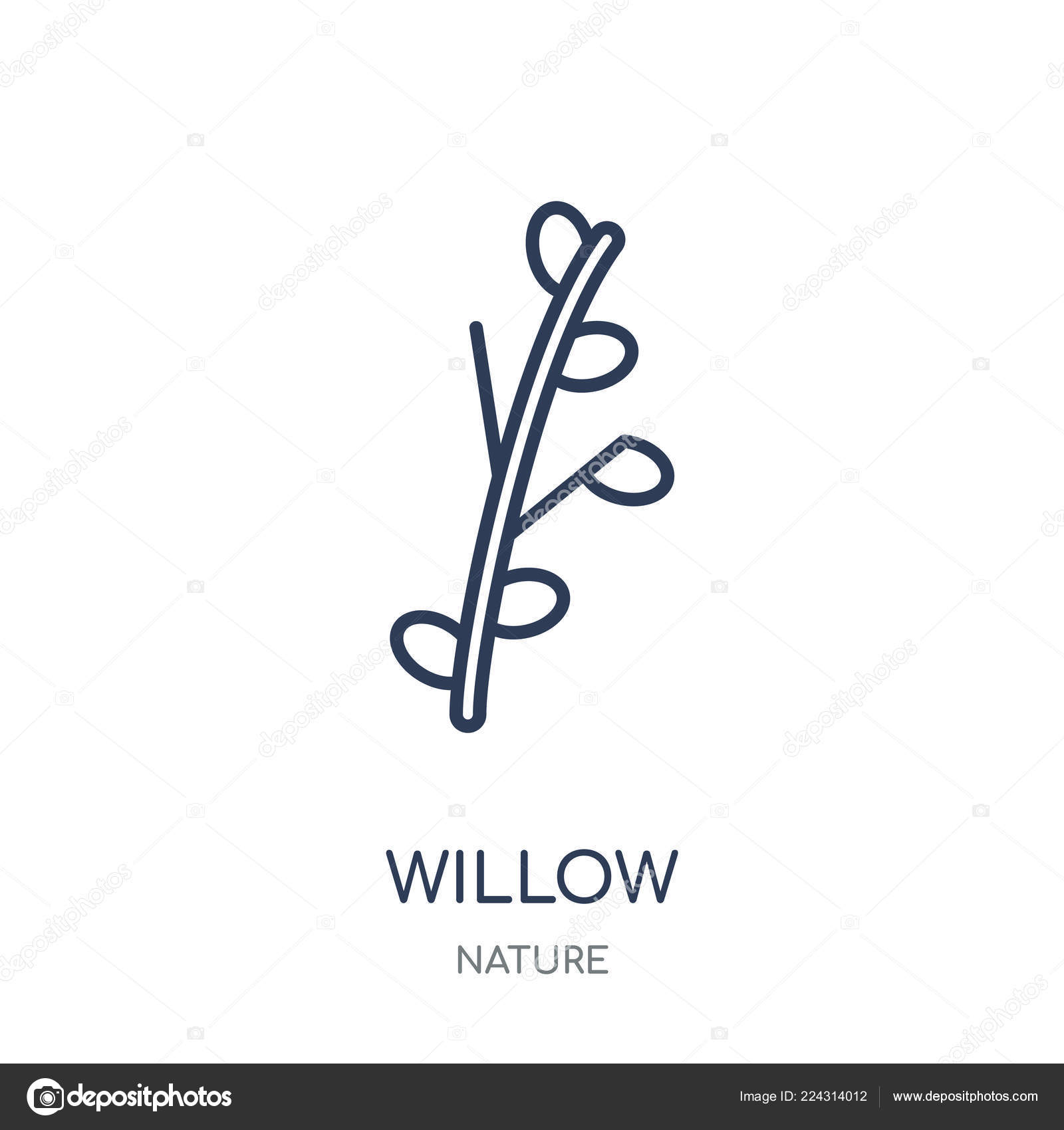 Willow Icon Willow Linear Symbol Design Nature Collection Simple Outline Stock Vector by ...