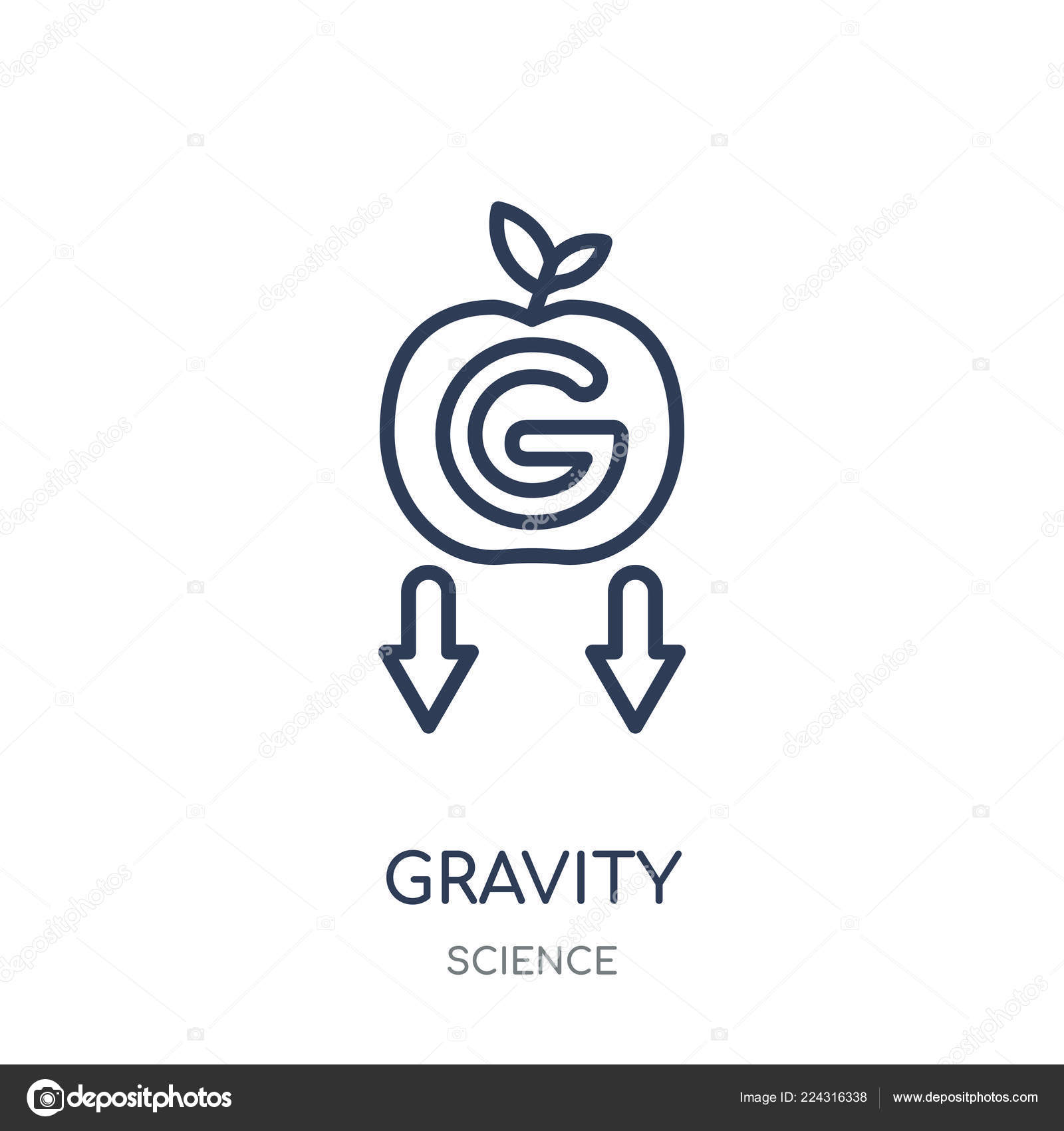 Icono Gravedad Diseño Símbolo Lineal Gravedad Colección Science Esquema ...