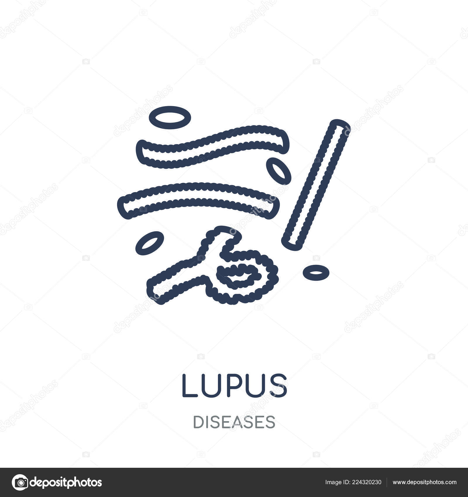 Icono Del Lupus Diseño Símbolo Lineal Lupus Colección Diseases Esquema ...