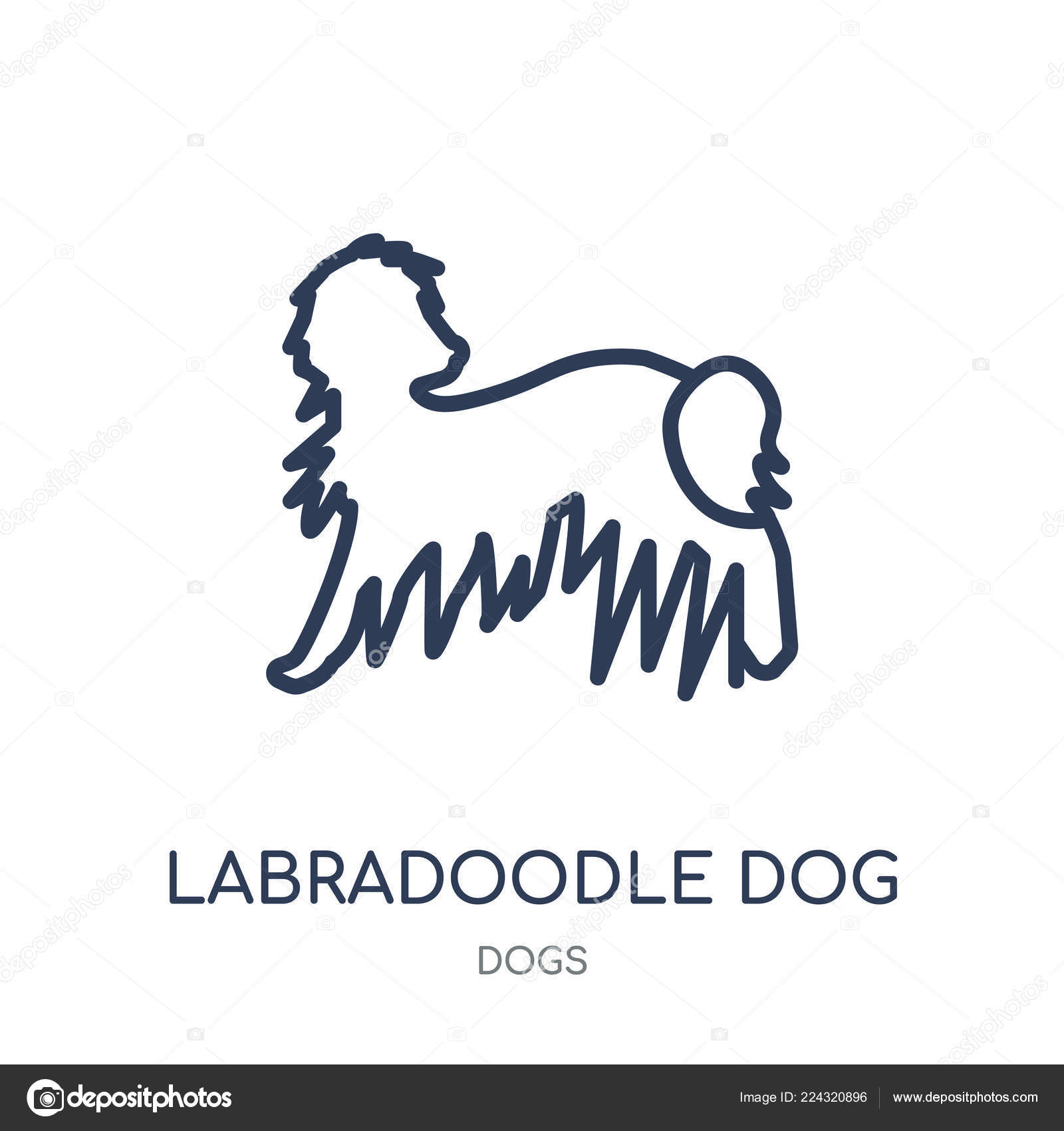Labradoodle Dog Icon Labradoodle Dog Linear Symbol Design Dogs ...