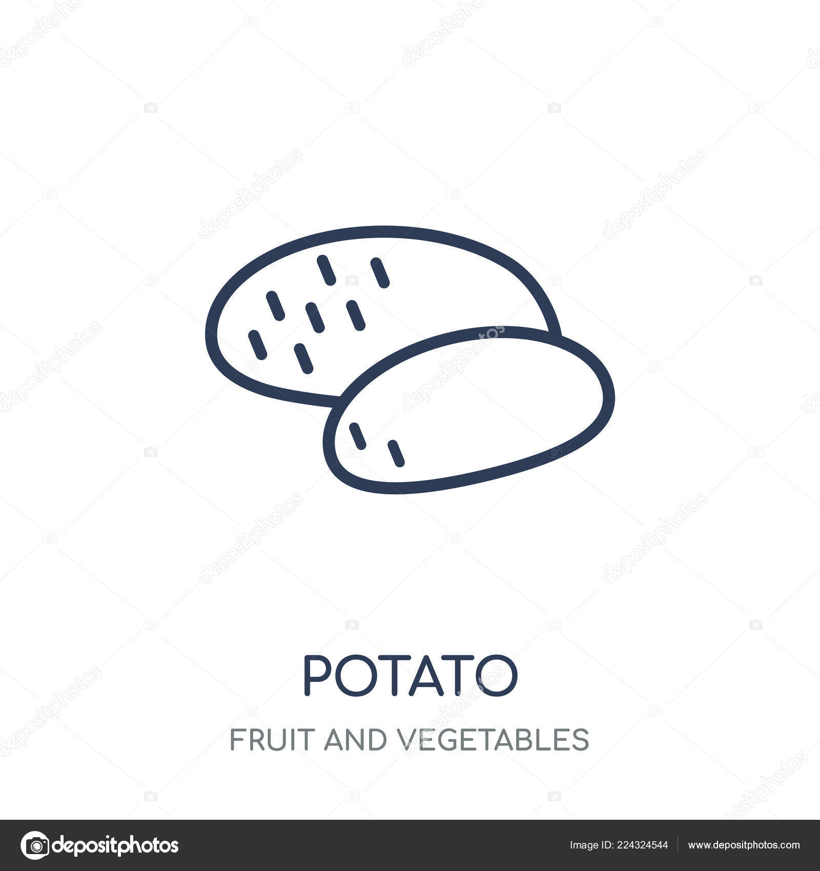 Potato Icon Potato Linear Symbol Design Fruit Vegetables Collection ...