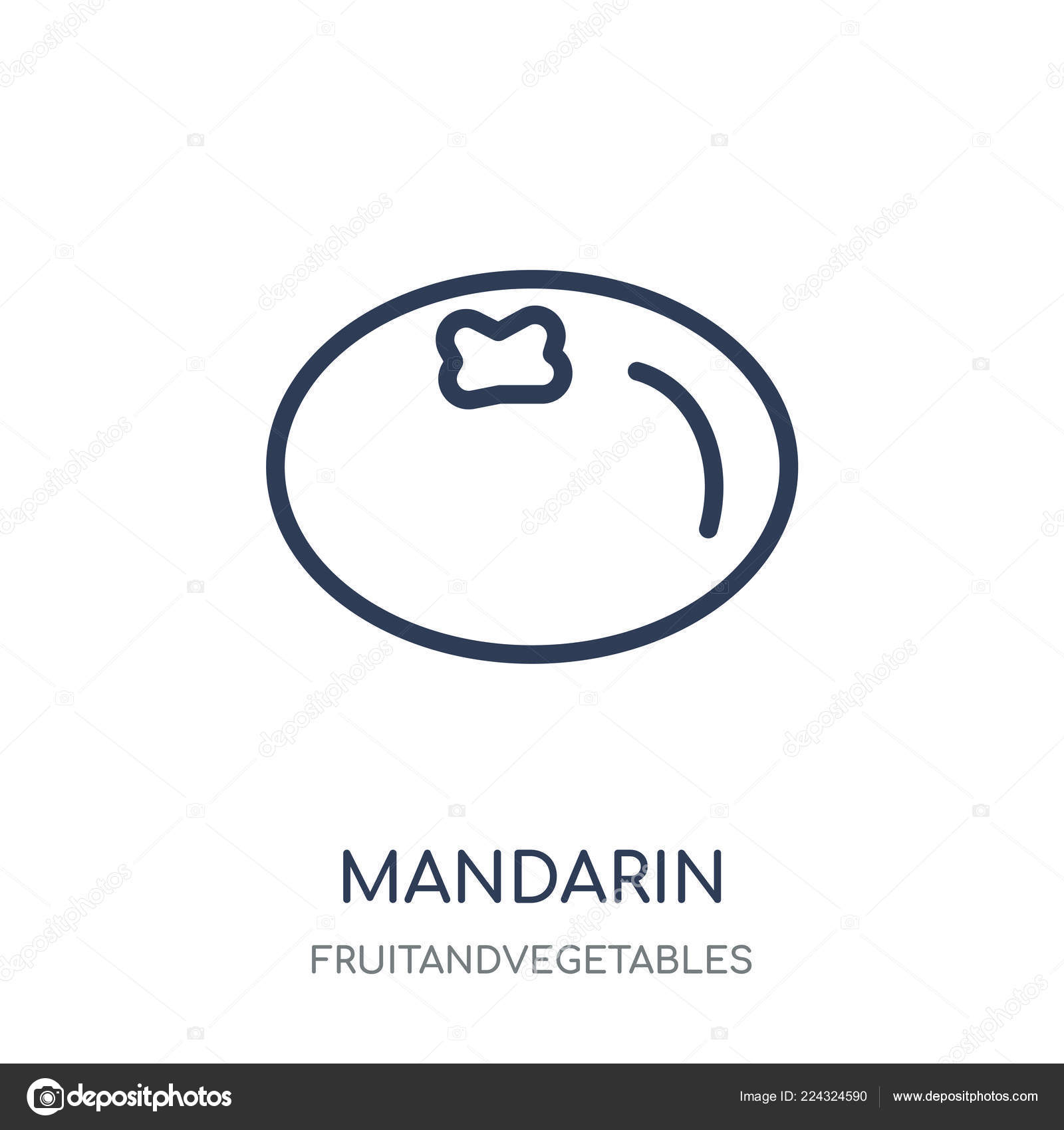 Mandarin Icon Mandarin Linear Symbol Design Fruitandvegetables ...