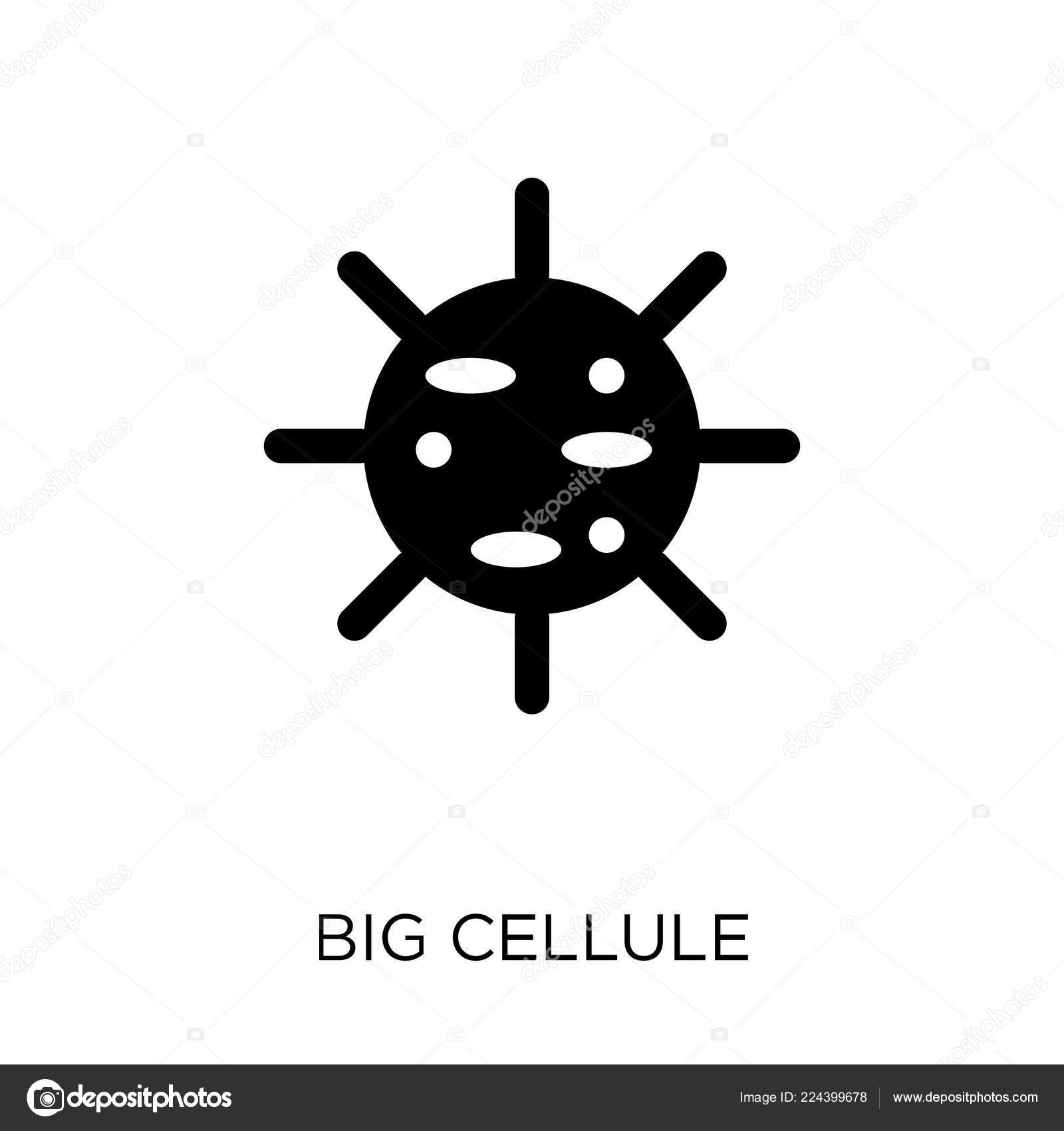 Ícone Big Cellule Design Símbolo Big Cellule Coleção Peças Corpo Vetor ...