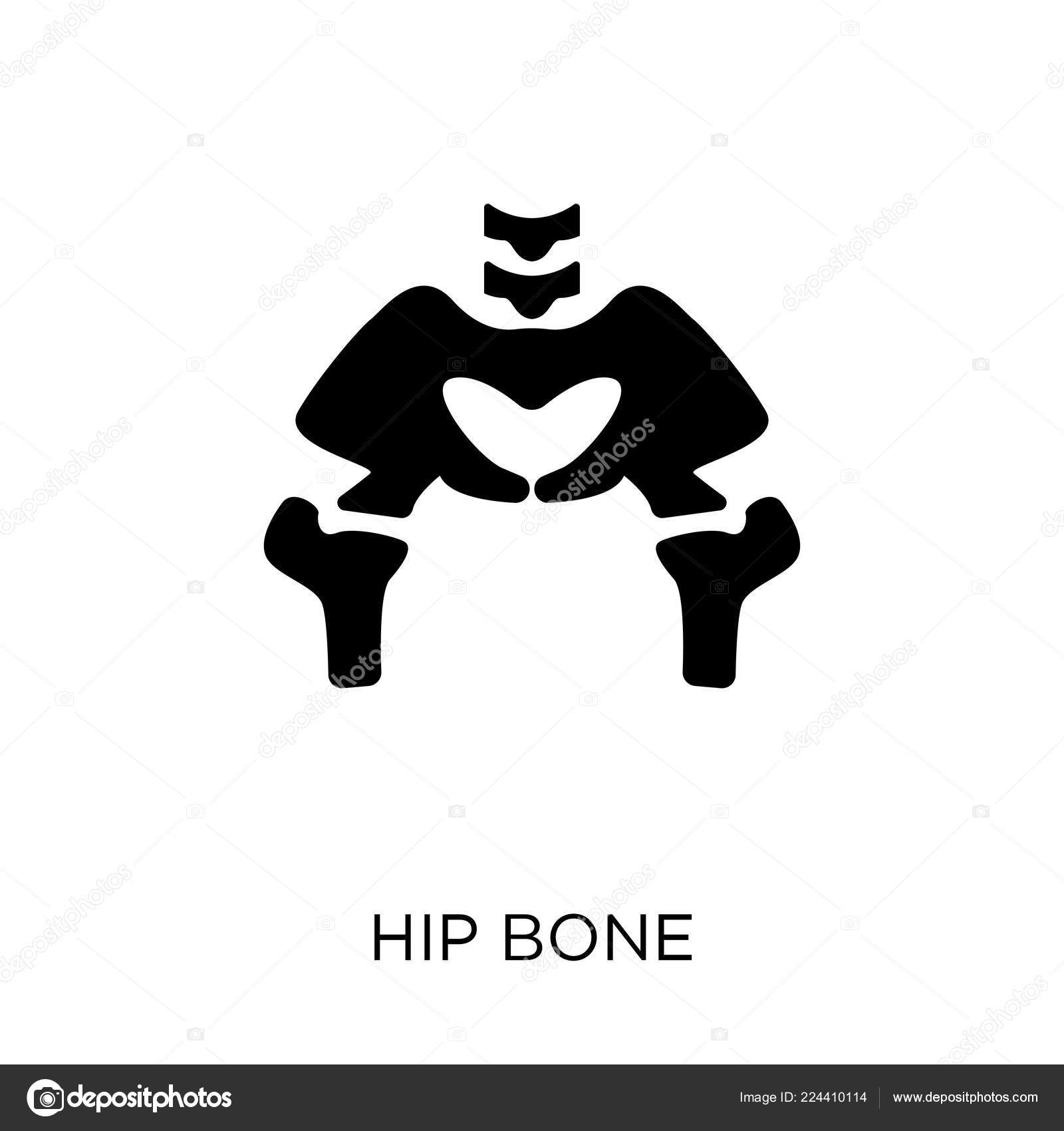 Ícone Osso Anca Design Símbolo Osso Quadril Coleção Partes Corpo Vetor ...