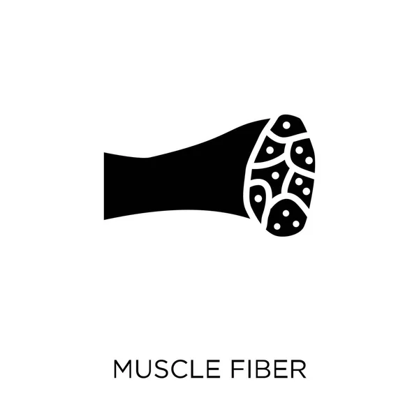 Human Muscle Icon Human Muscle Symbol Design Human Body Parts Stock ...