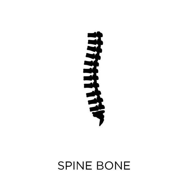 Human Spine Sign Black Icon Spine Isolated White Background Human ...