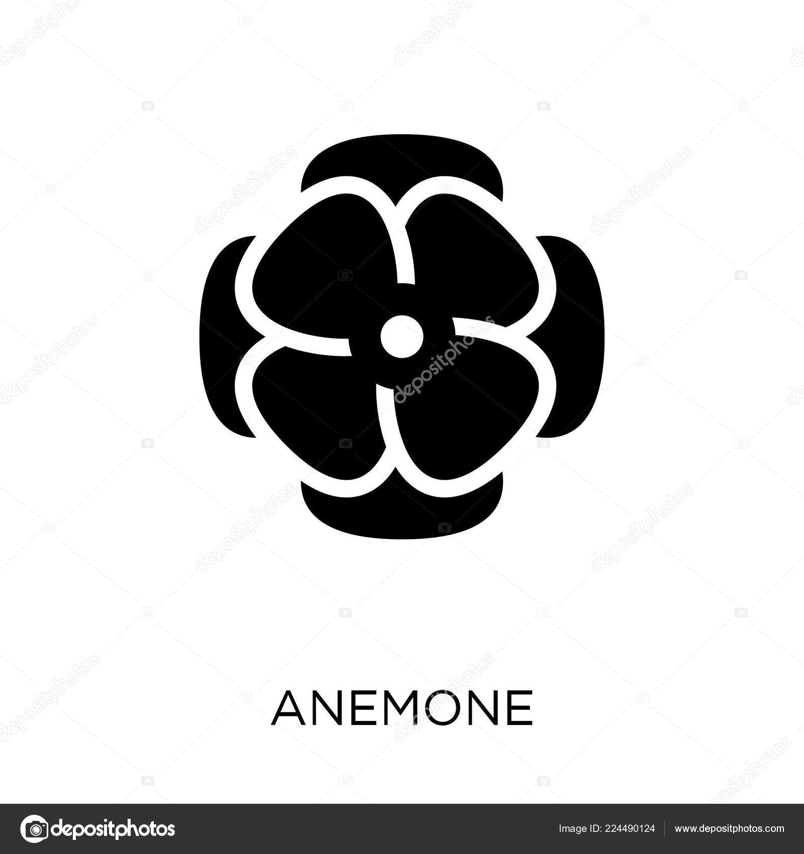 Anemone Icon Anemone Symbol Design Nature Collection Simple Element ...