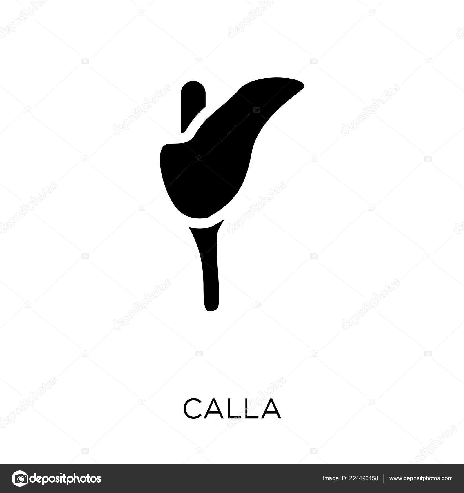 Calla Icon Calla Symbol Design Nature Collection Simple Element Vector ...