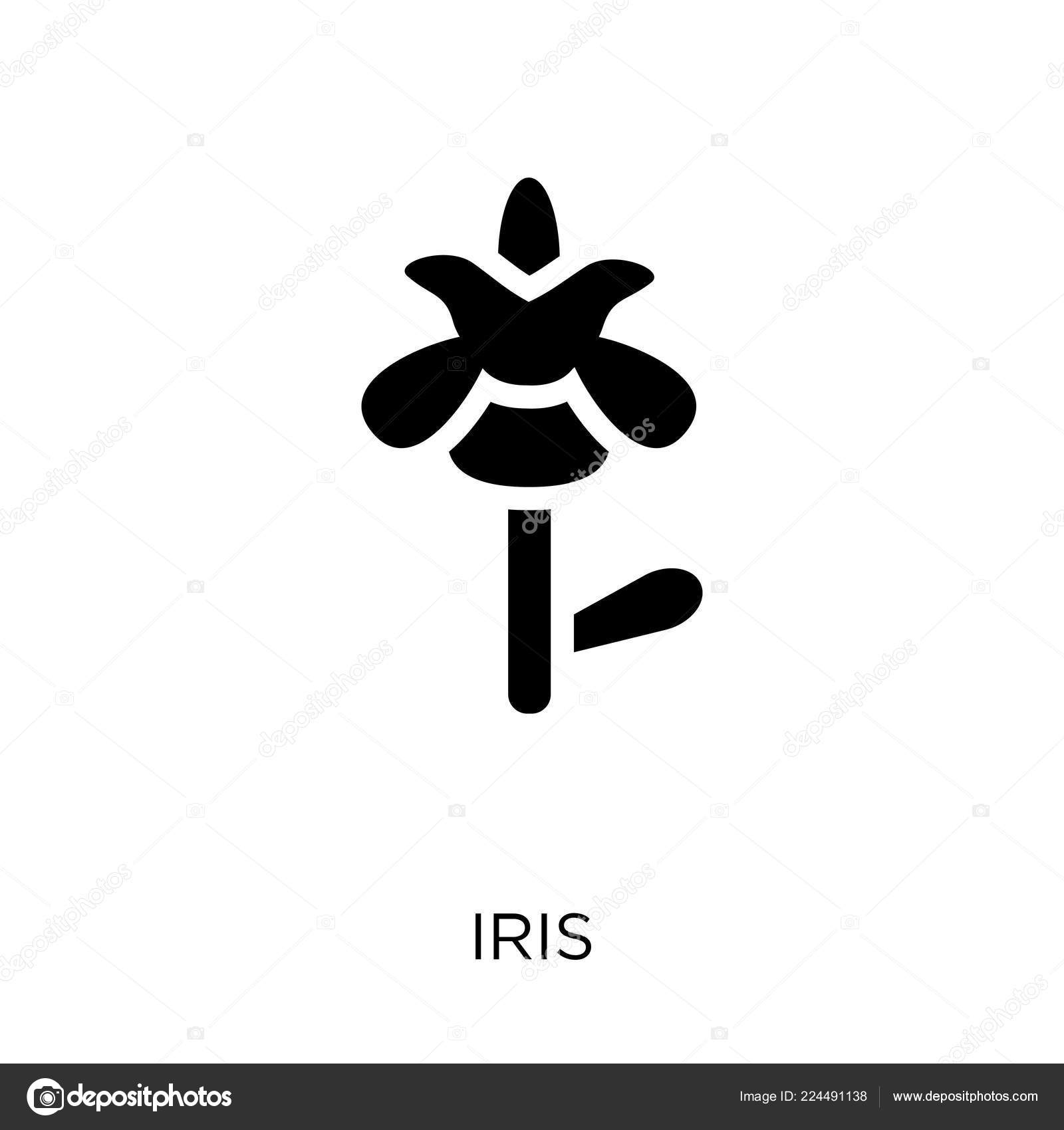Iris Icon Iris Symbol Design Nature Collection Simple Element Vector ...
