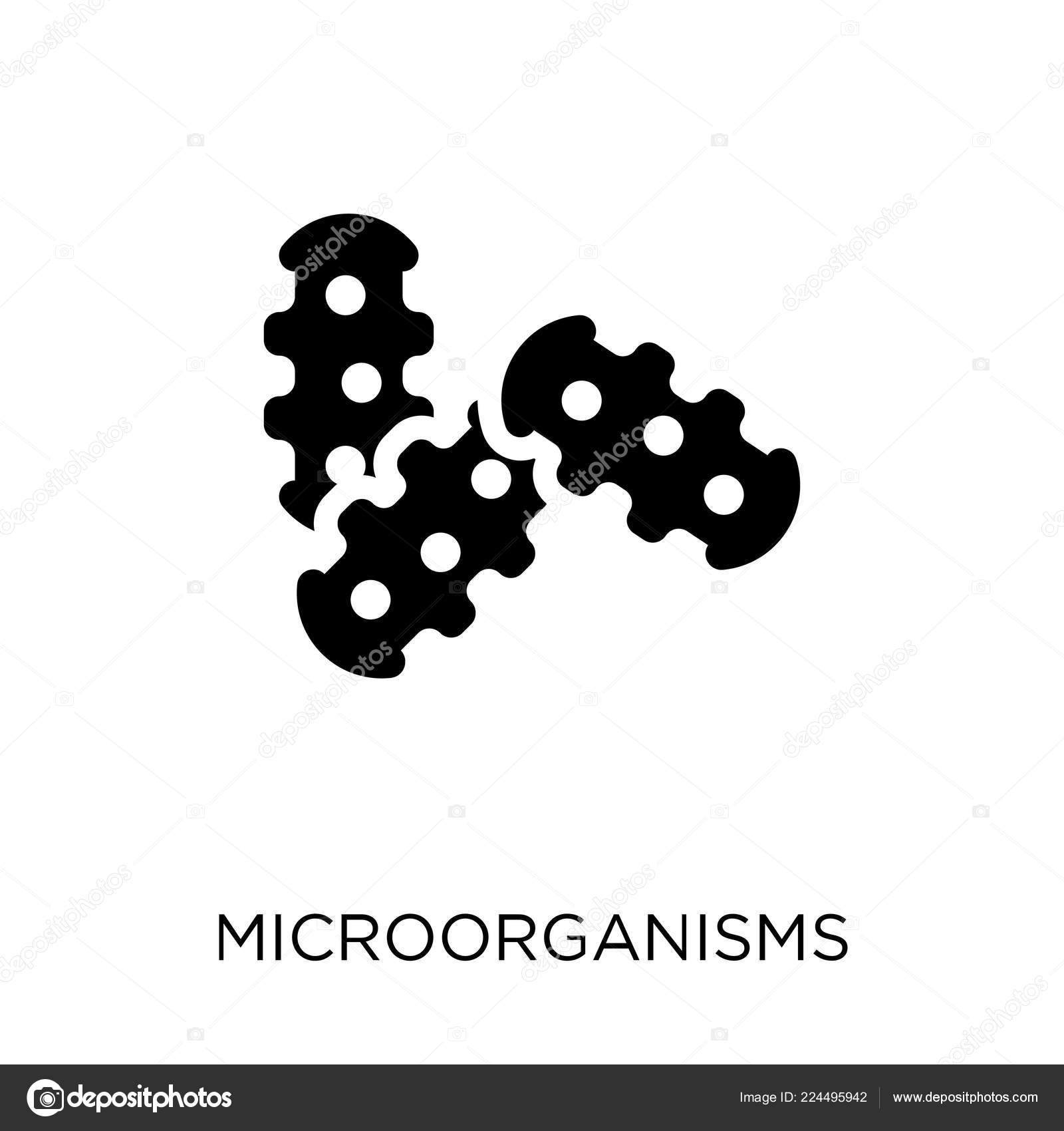 Microorganisms Icon Microorganisms Symbol Design Science Collection ...