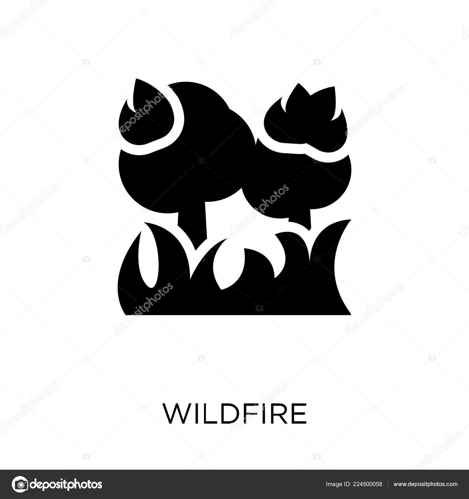 Wildfire Icon Wildfire Symbol Design Weather Collection Simple Element ...