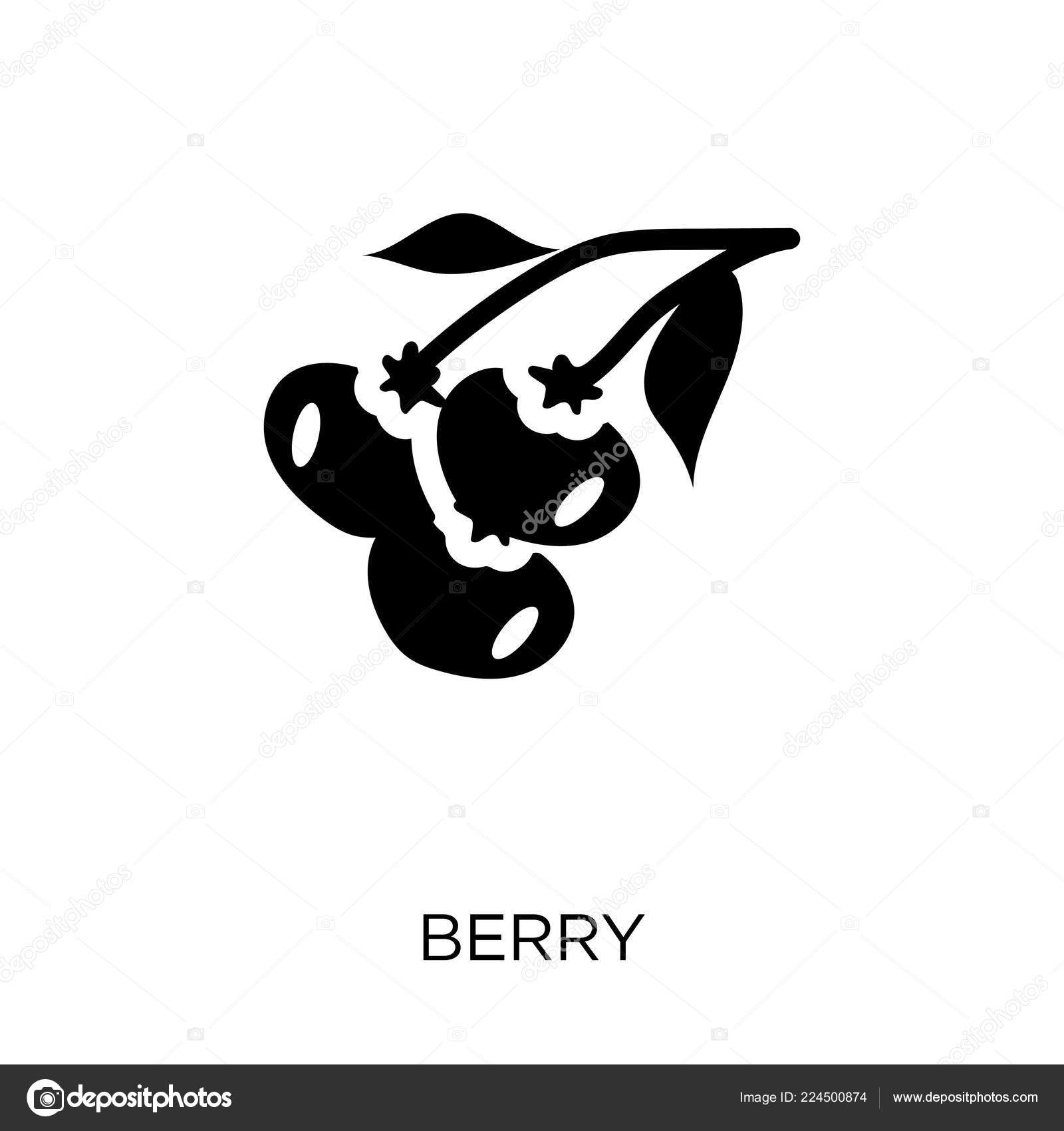 Blueberry Icon Blueberry Symbol Design Agriculture Farming Gardening ...