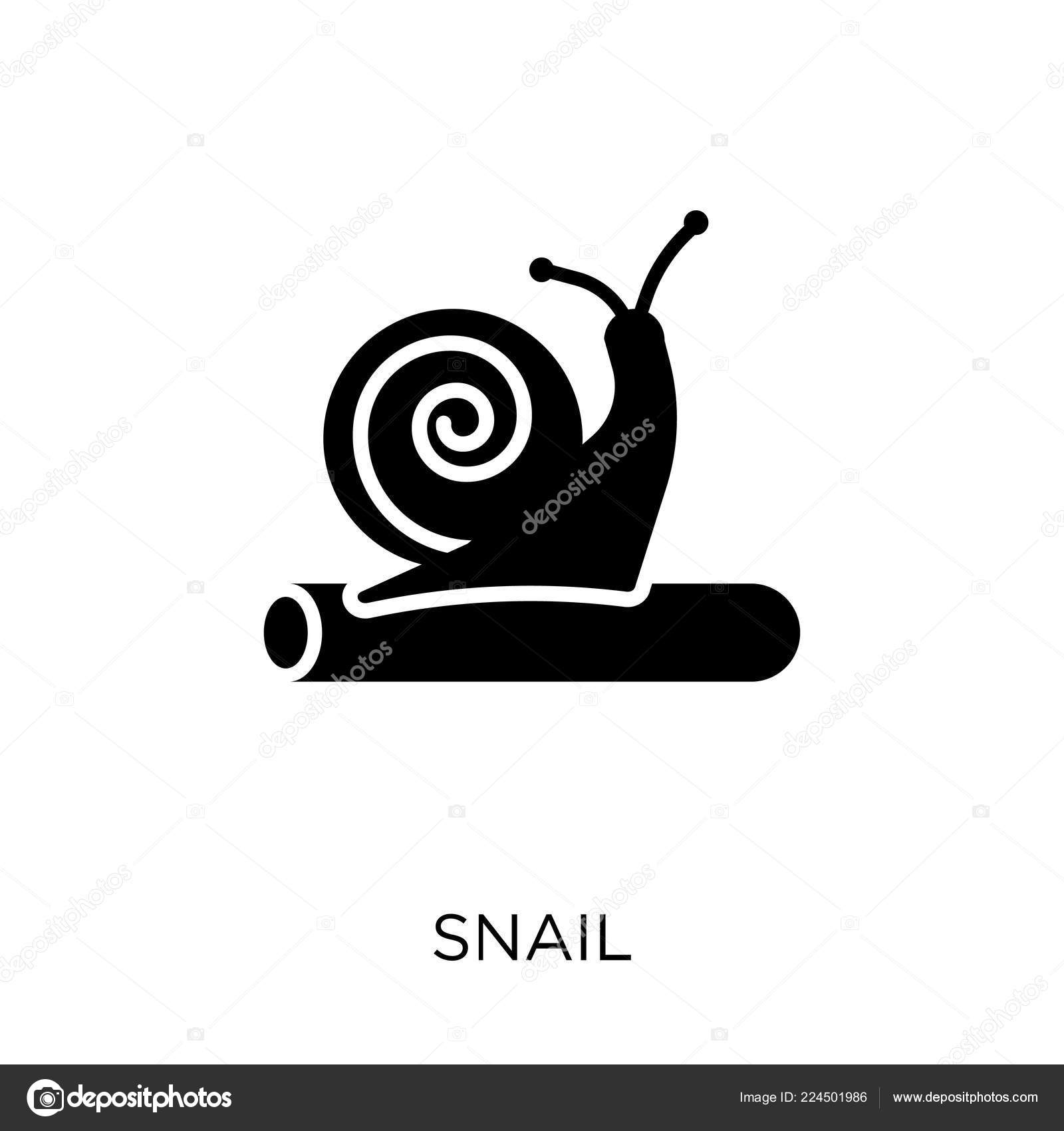 Snail Icon Snail Symbol Design Animals Collection Simple Element Vector ...
