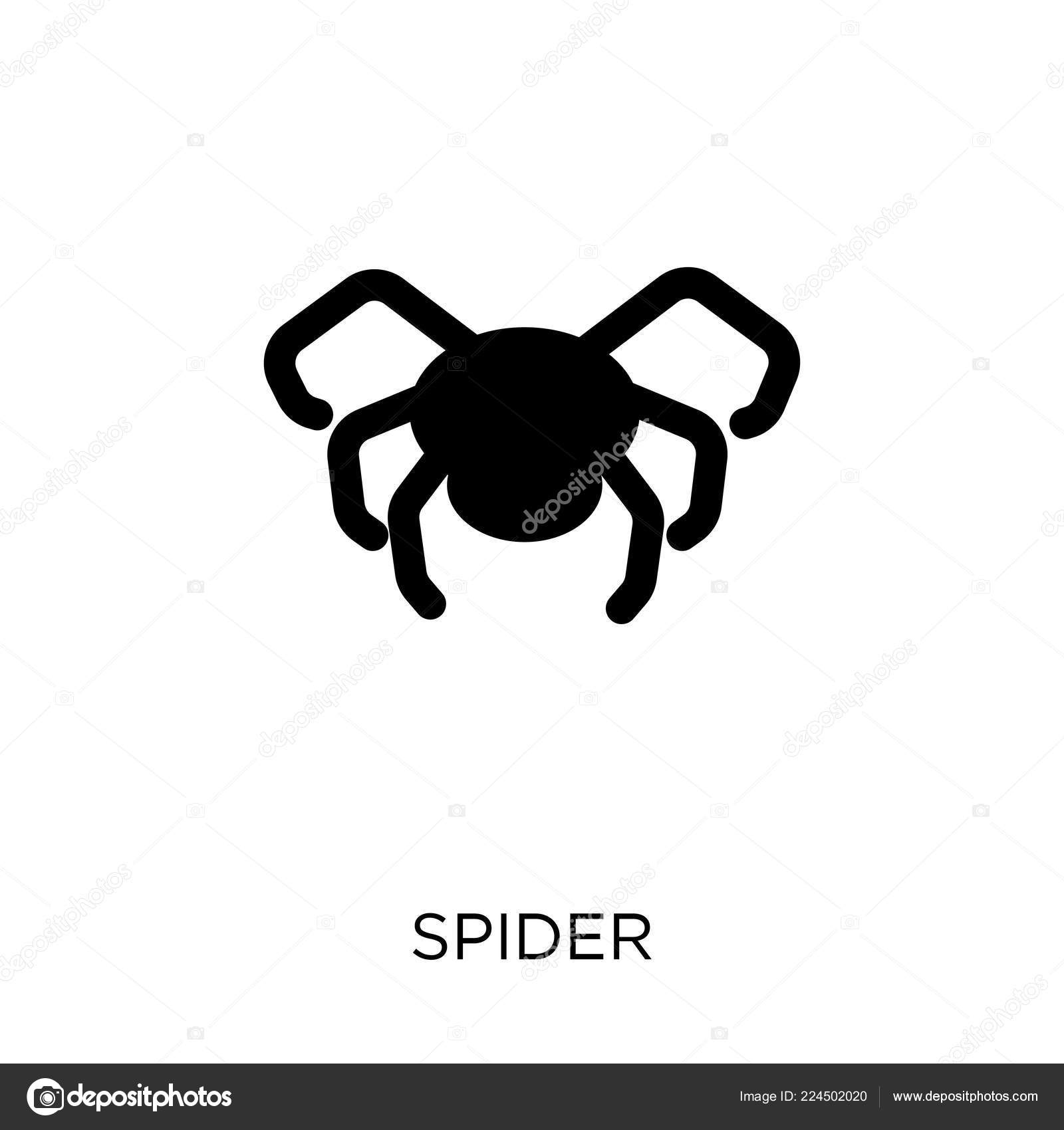 Spider Icon Spider Symbol Design Animals Collection Simple Element ...