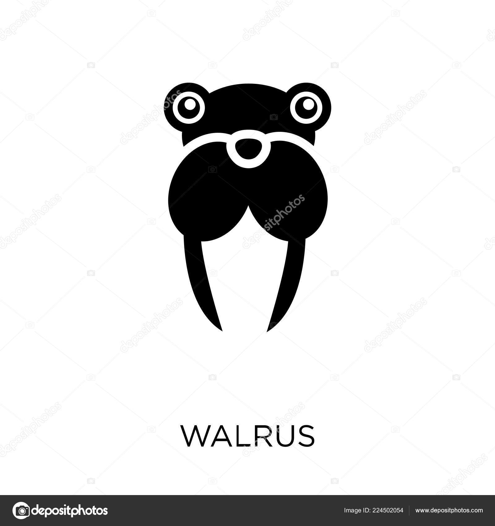 Walrus Icon Walrus Symbol Design Animals Collection Simple Element ...