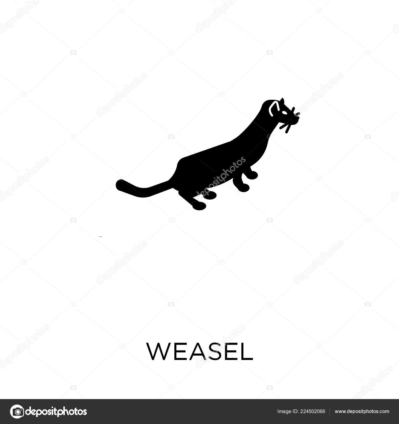 Weasel Icon Weasel Symbol Design Animals Collection Simple Element ...