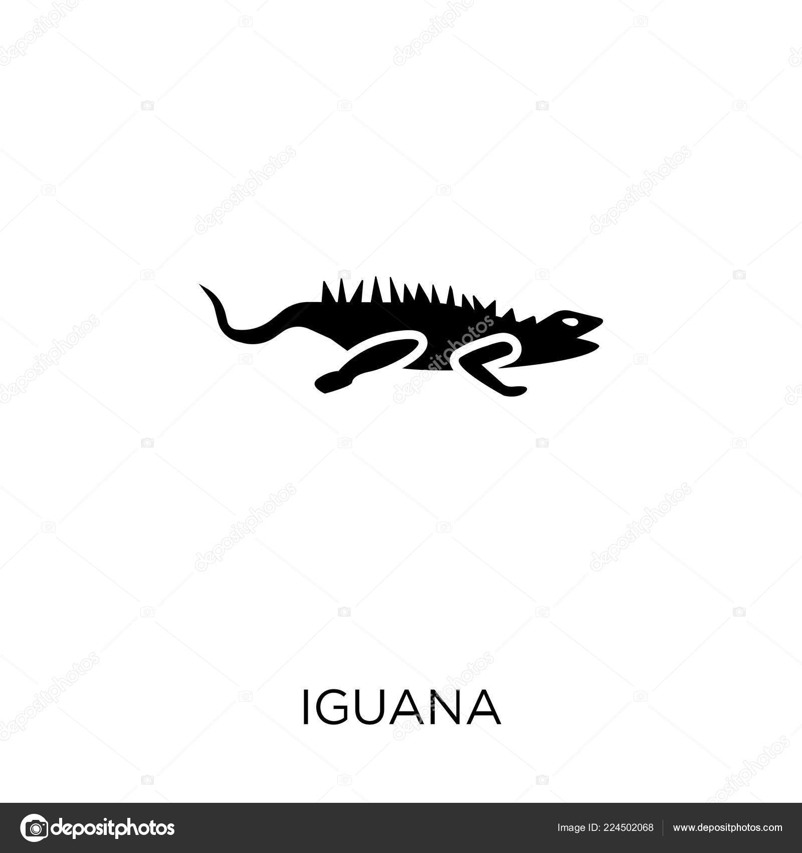Ícono Iguana Diseño Símbolo Iguana Colección Animales Ilustración ...