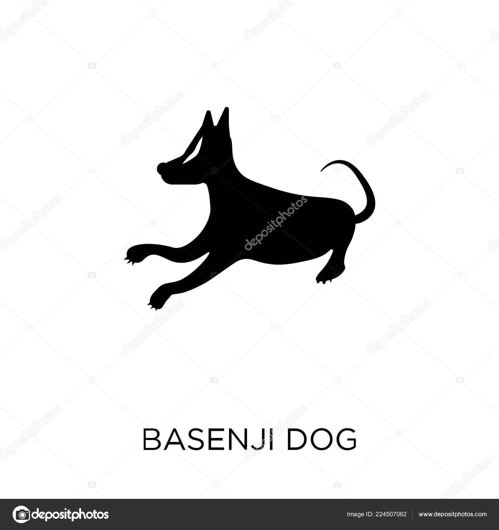 Basenji Dog Icon Basenji Dog Symbol Design Dogs Collection Simple Stock ...
