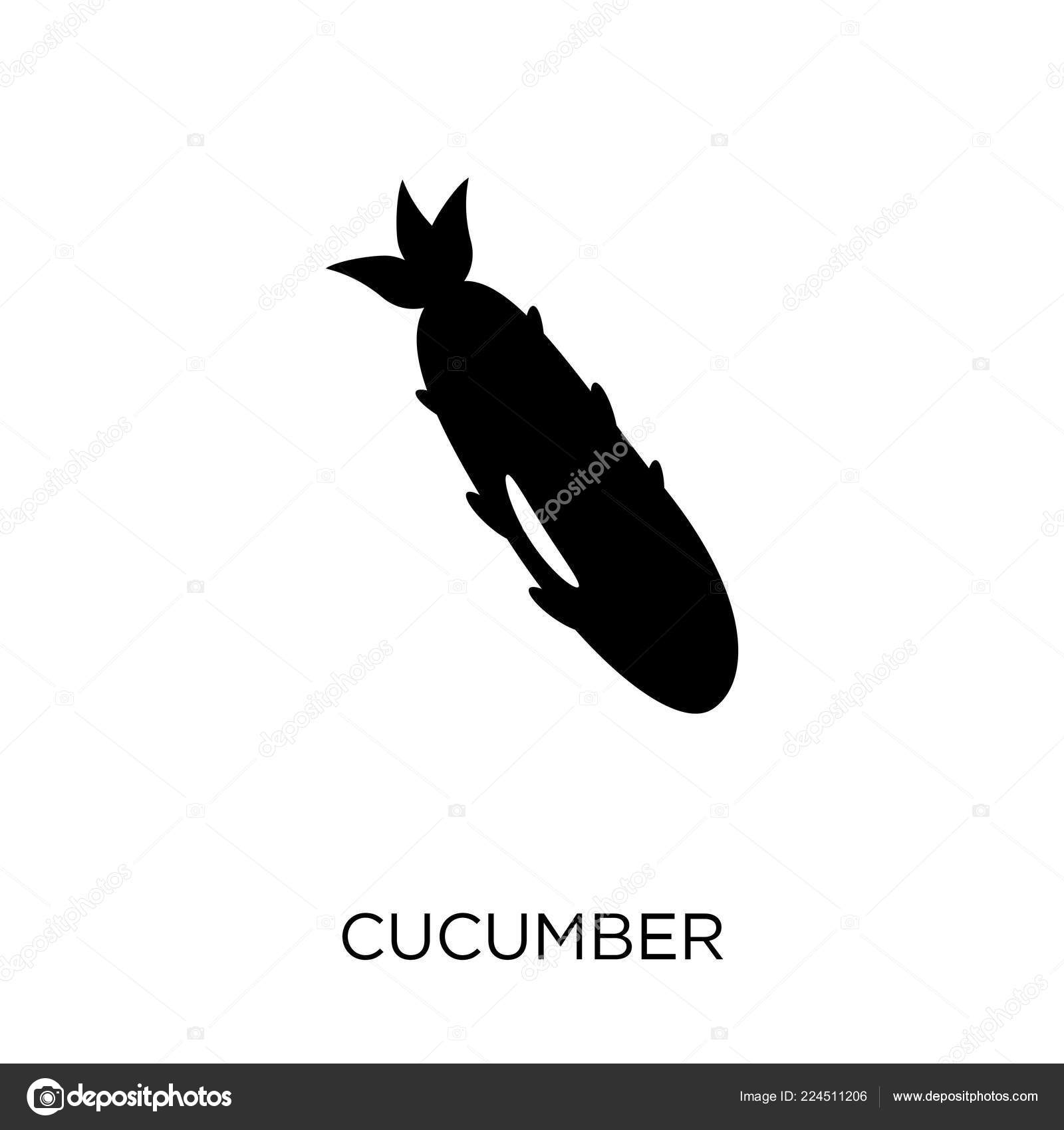 Cucumber Icon Cucumber Symbol Design Fruit Vegetables Collection Simple ...