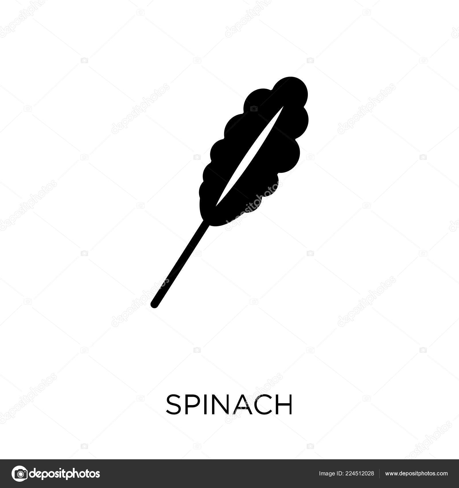 Spinach Icon Spinach Symbol Design Fruit Vegetables Collection Simple Element Stock Vector by ...