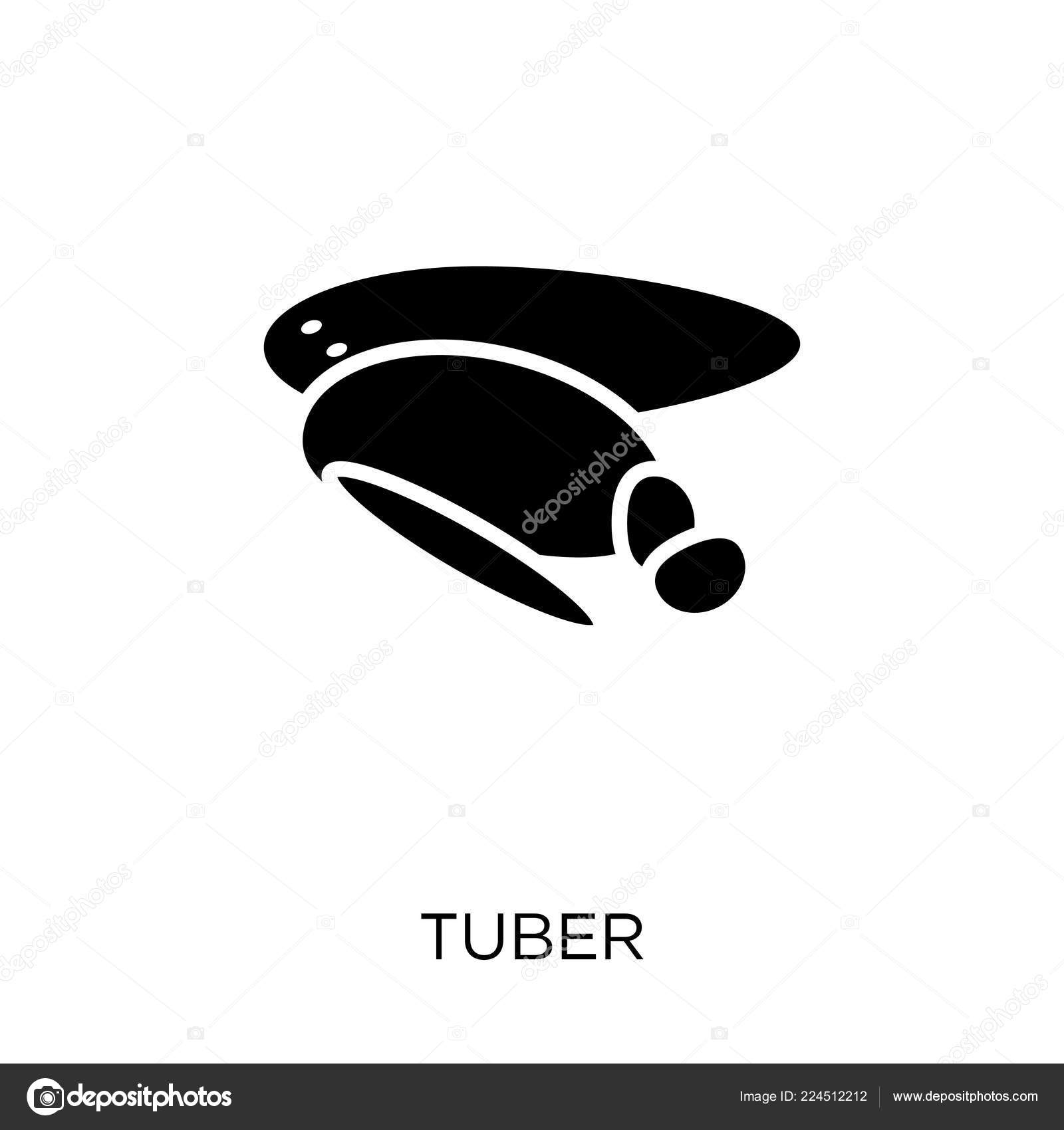 Tuber Icon Tuber Symbol Design Fruit Vegetables Collection Simple ...