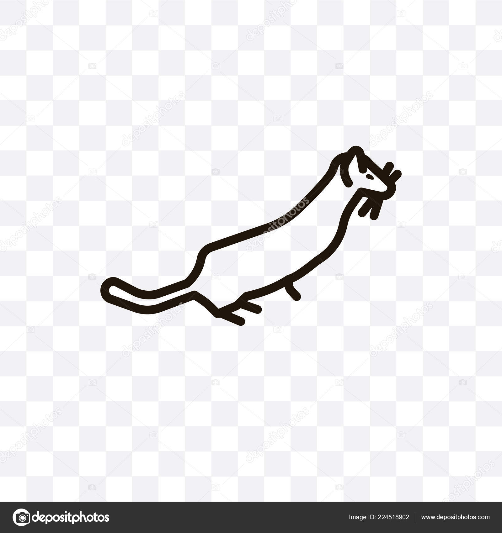 Wiesel Vektor Lineares Symbol Isoliert Auf Transparentem Hintergrund ...