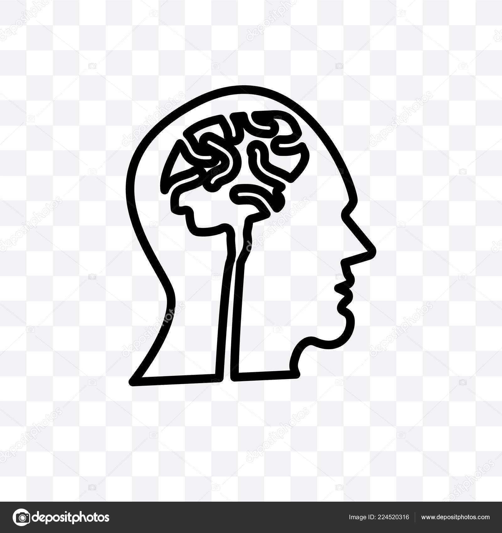 Human Head Brain Vector