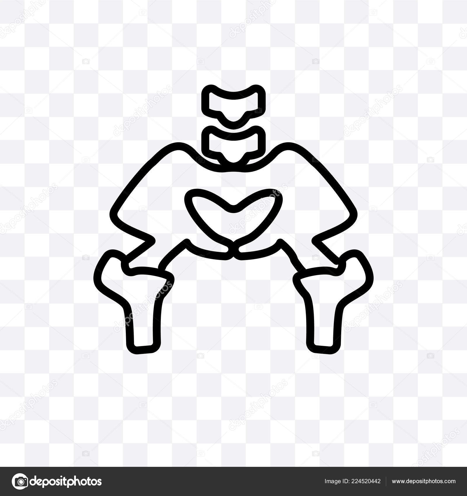 Hip Bone Vector Linear Icon Isolated Transparent Background Hip Bone ...