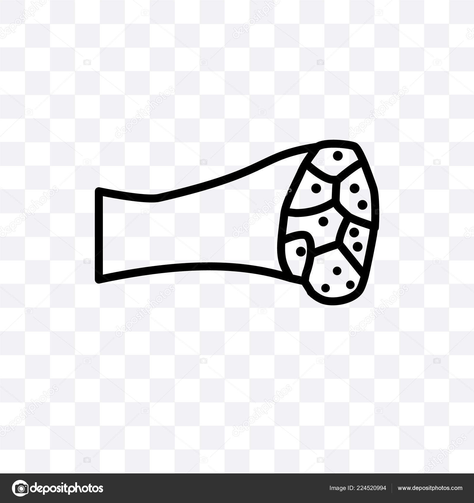 Muscle Fiber Vector Lineal Icono Aislado Sobre Fondo Transparente ...