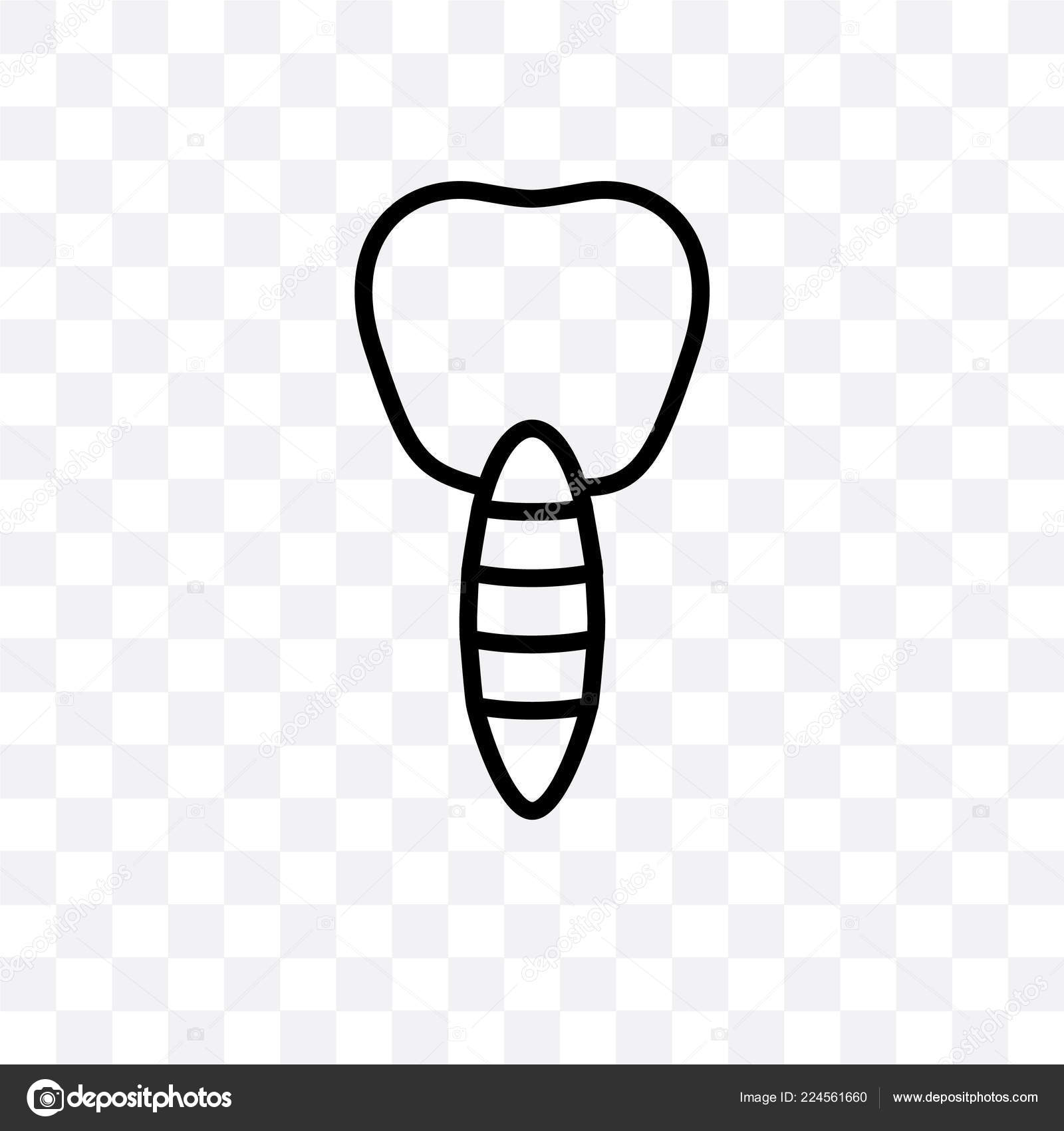 Fake Tooth Vector Linear Icon Isolated Transparent Background Fake ...