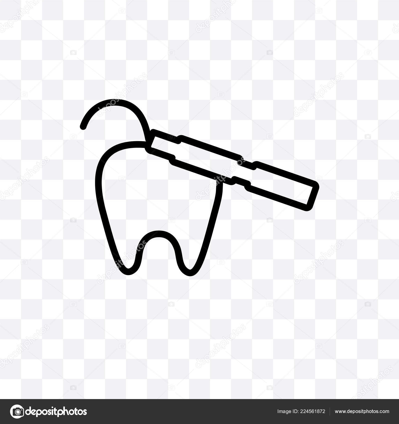 Teeth Vector Linear Icon Isolated Transparent Background Teeth ...