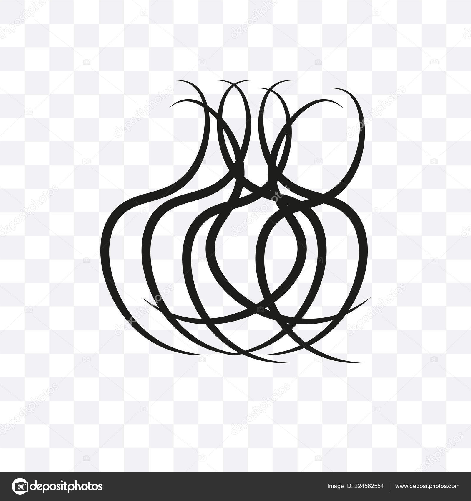 Tumbleweed Vector Linear Icon Isolated Transparent Background ...