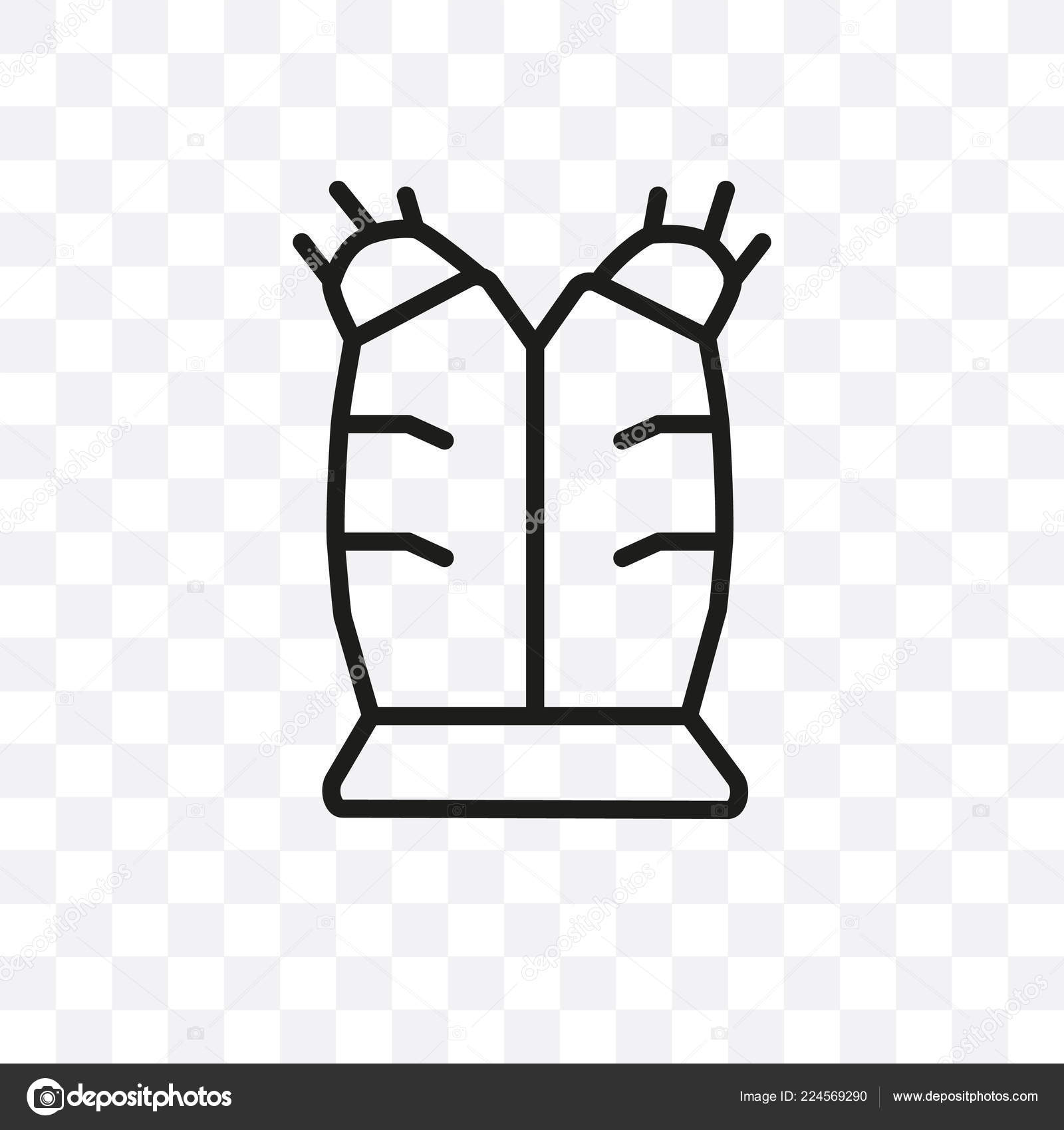 Armor Vector Linear Icon Isolated Transparent Background Armor ...