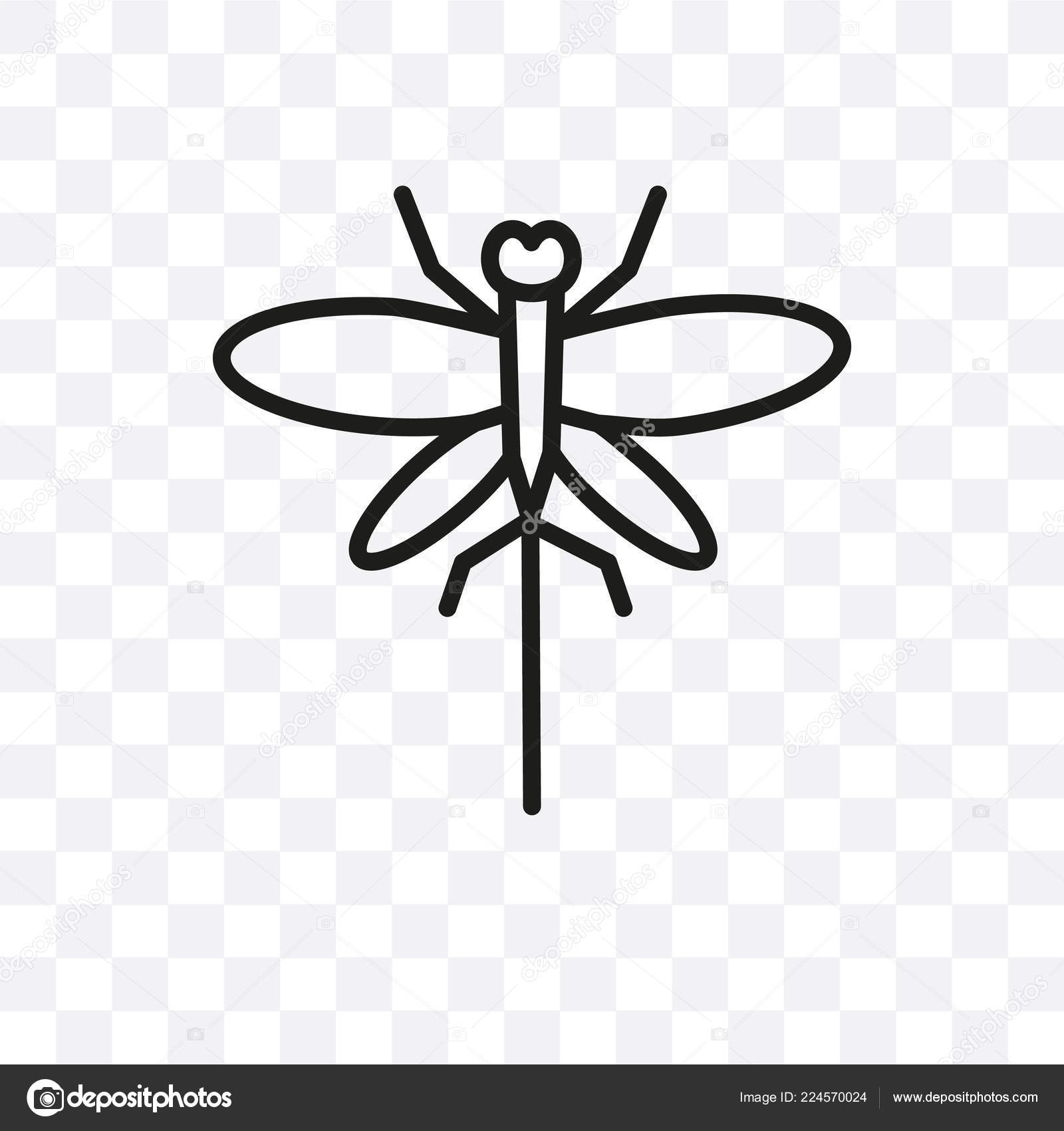 Dragonfly Vector Linear Icon Isolated Transparent Background Dragonfly ...