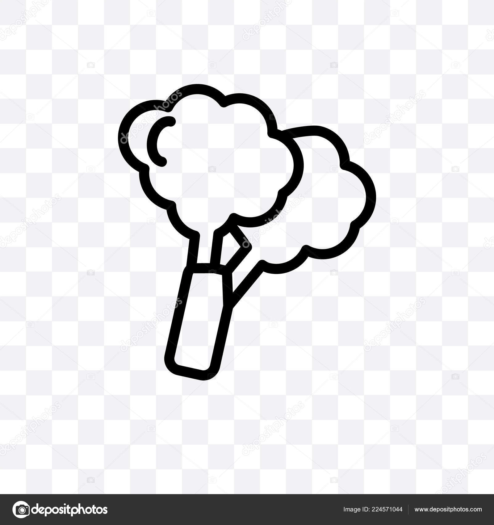 Broccoli Vector Linear Icon Isolated Transparent Background Broccoli ...