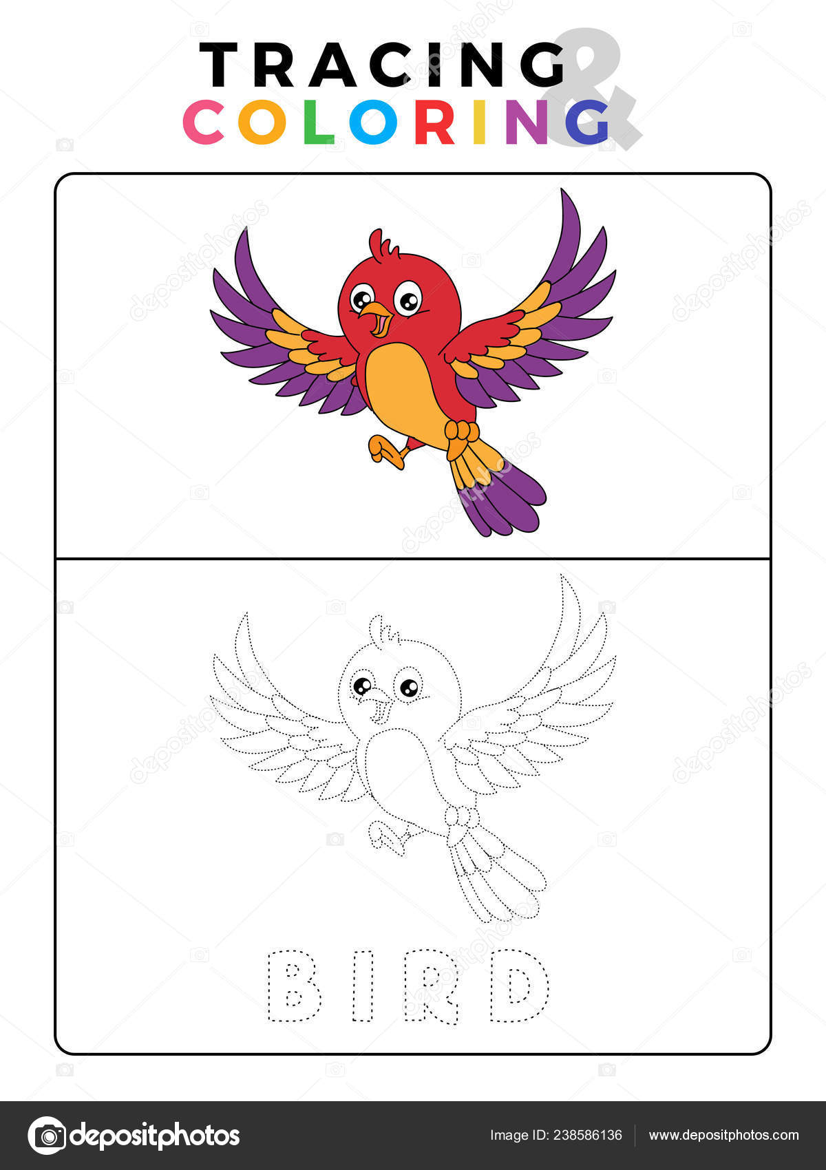 Funny Bird Tracing Coloring Book Example Preschool Worksheet Practicing ...