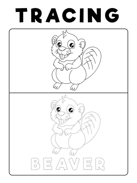 Funny Beaver Tracing Coloring Book Example Preschool Worksheet ...