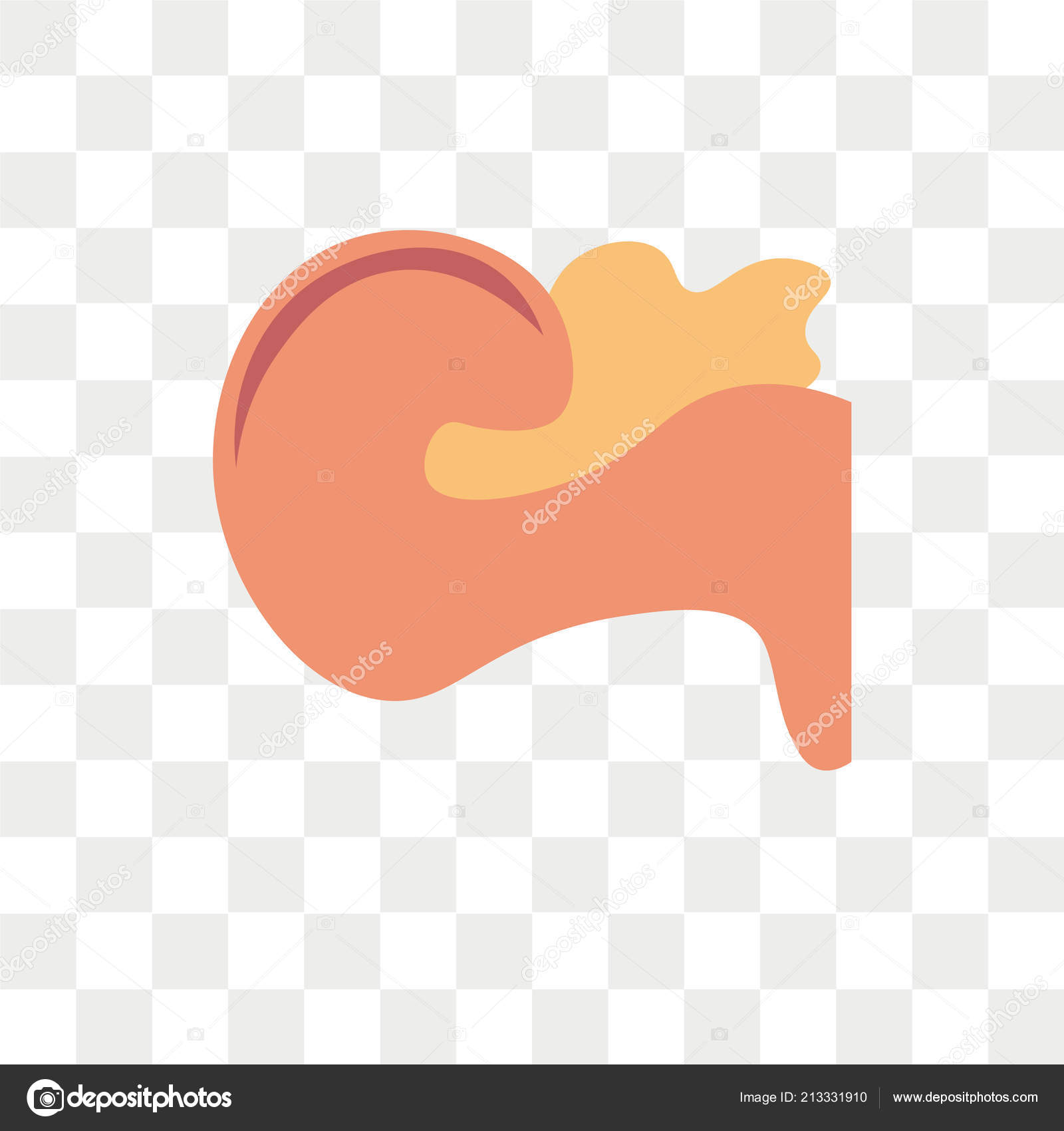 Pancreas vector icon isolated on transparent background, Pancrea Stock ...