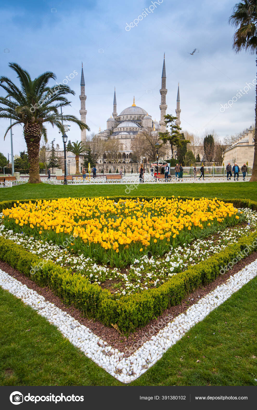 Istanbul Turkey May 2019 Blue Mosque Early Morning Panorama Sultanahmet ...