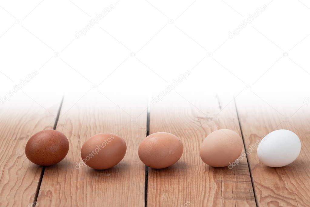 huevos de diferentes colores y fondo blanco 2023
