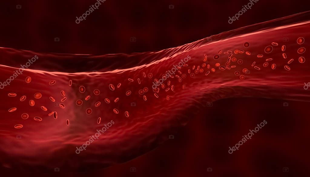 Gl bulos rojos o corp sculos que fluyen a trav s de una vena. Ilustraci n m dica y micro biolog ...