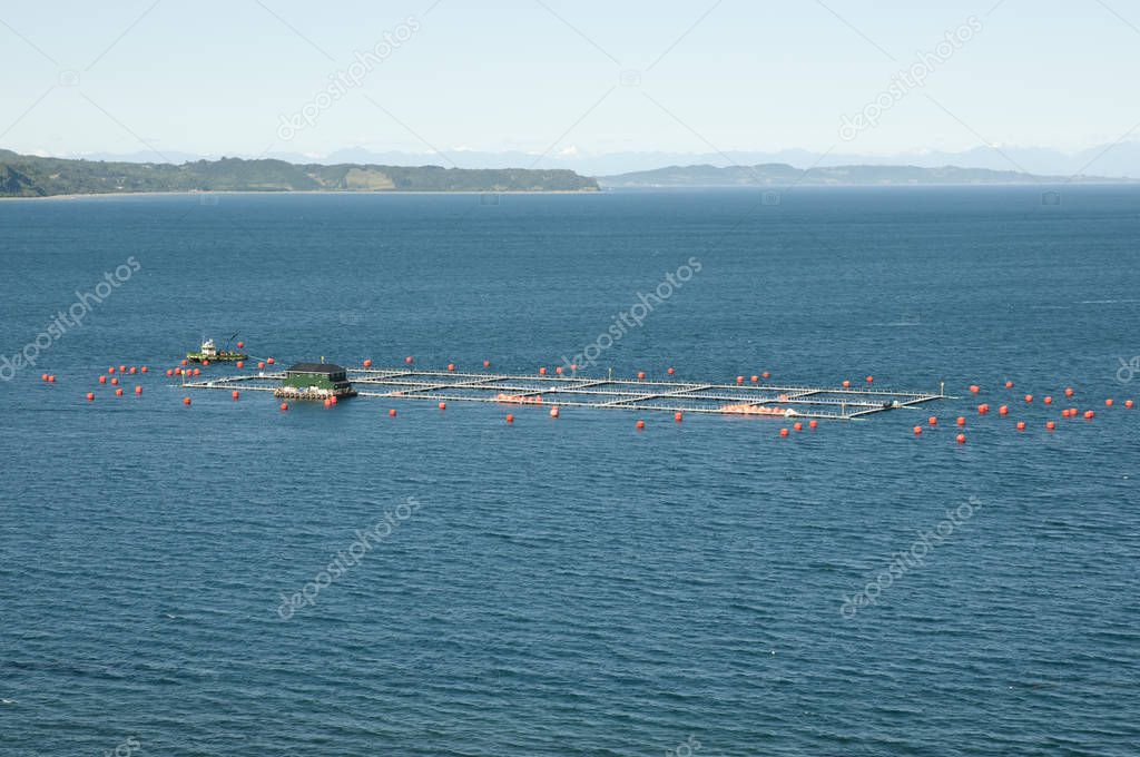 Granja de Peces - Isla de Chiloé - Chile 2025