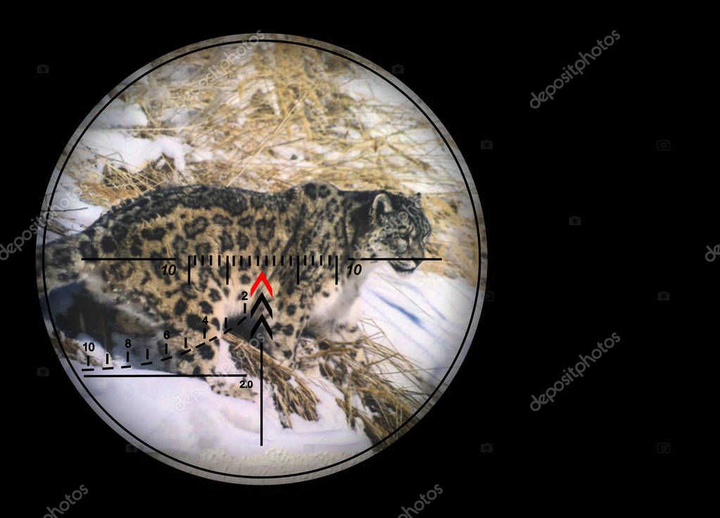 La vista de un rifle de francotirador leopardo de nieve aparece en el ...