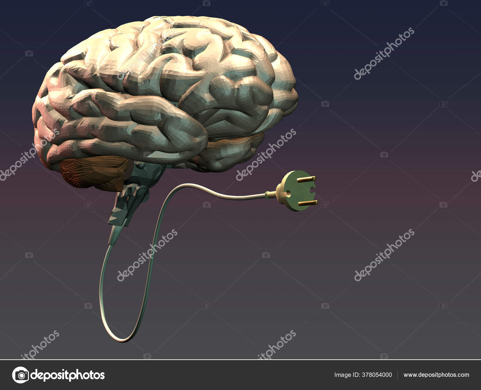 Human Brain Electric Cord Electric Plug Rendering — Stock Photo ...